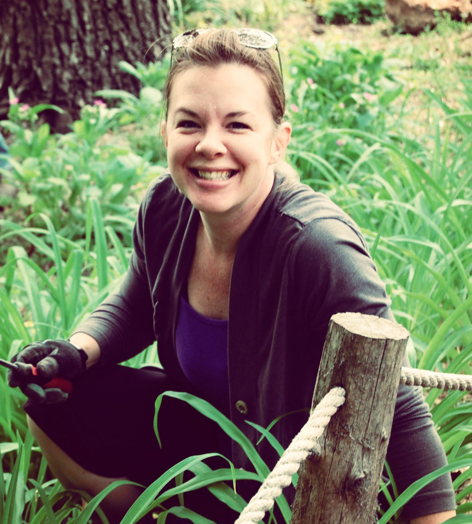 Apple Cake – Taste of Arkansas